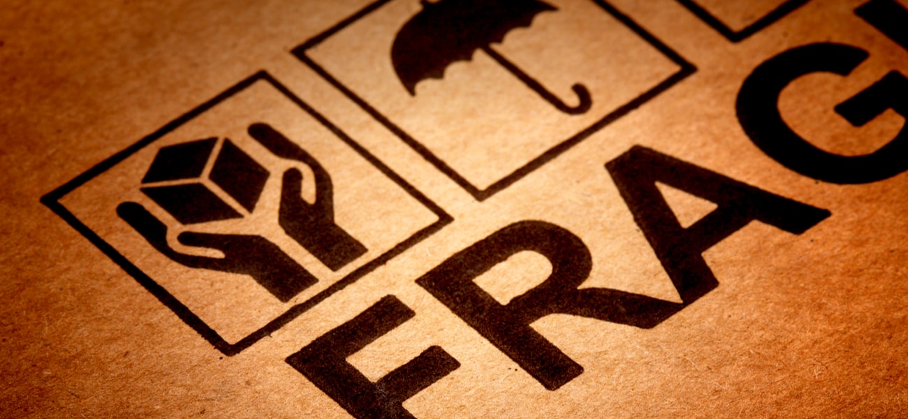 Fragile Cargo, Special Cargo - SpiceXpress